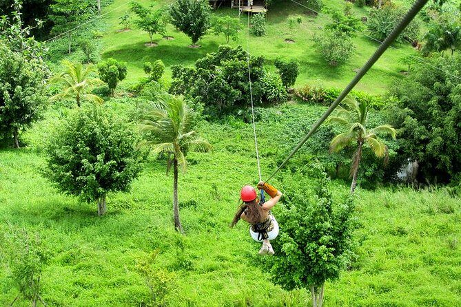 Zip Line in Punta Cana - A Practical Guide to the Punta Cana Zip Line Tour