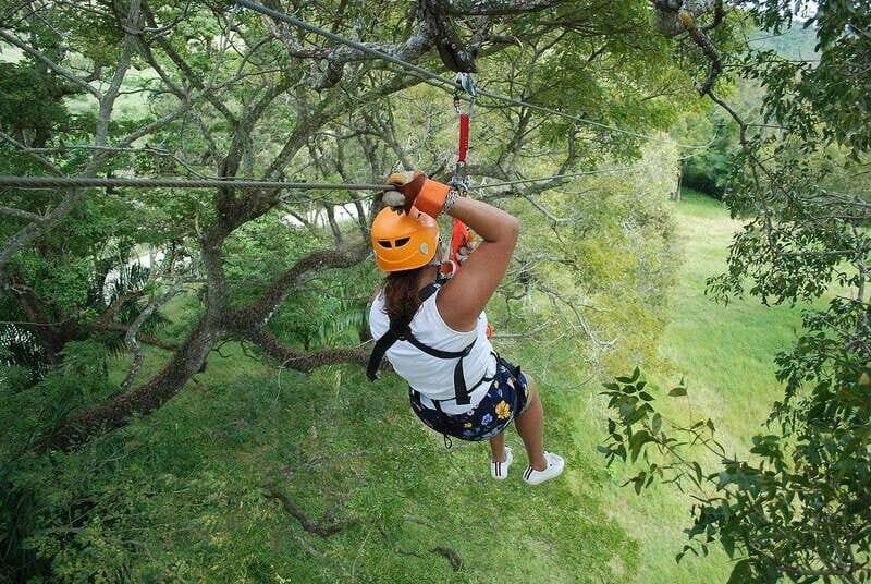 Zip-line outdoor adventure the ultimate experience - Authentic Insights from Reviewers