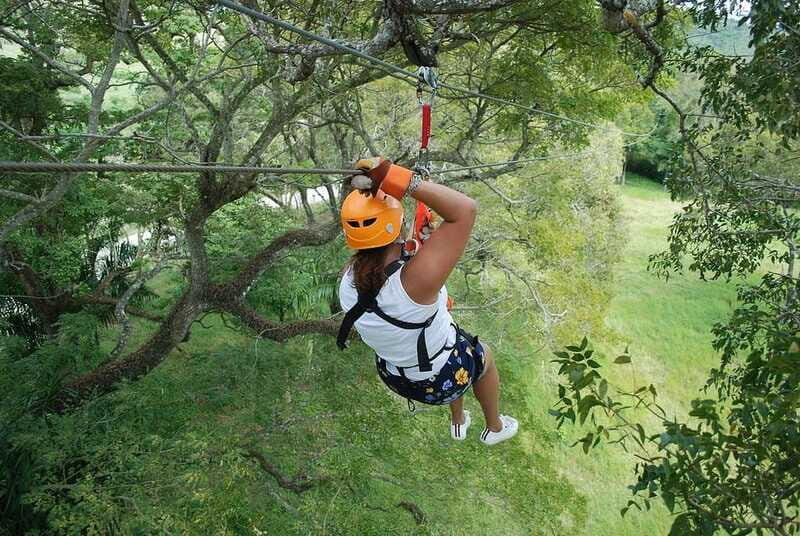 Zip-line outdoor adventure the ultimate experience - The Sum Up