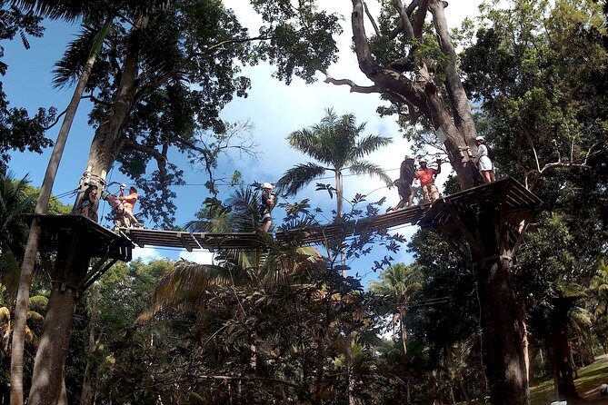 Zip Line over the Dunns River Falls - Introduction: What Is This Tour All About?