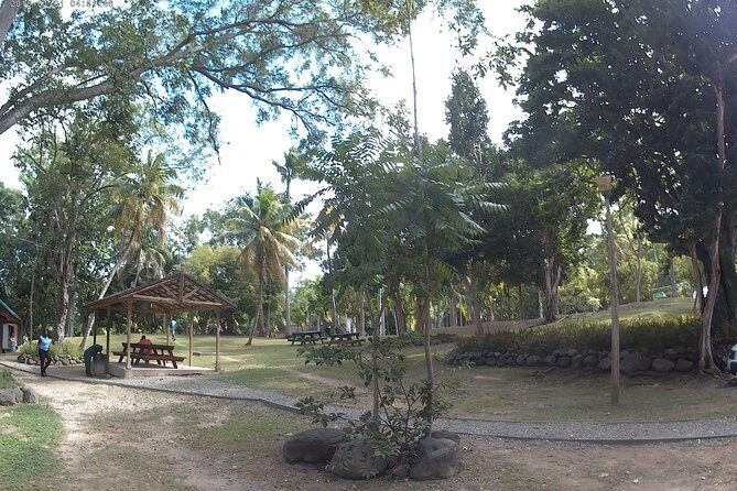 Zip Line over the Dunns River Falls - The Experience Provider: What You Need to Know