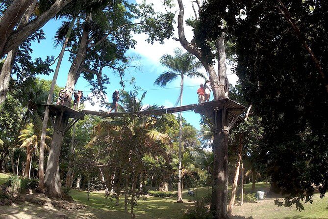 Zip Line over the Dunns River Falls - The Sum Up: Who Should Consider This Tour?