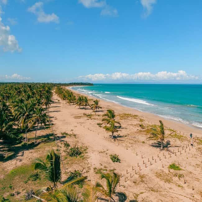 Zip Line Playa Esmeralda With Redonda Mountain - Lunch Break: Tasting Dominican Flavors