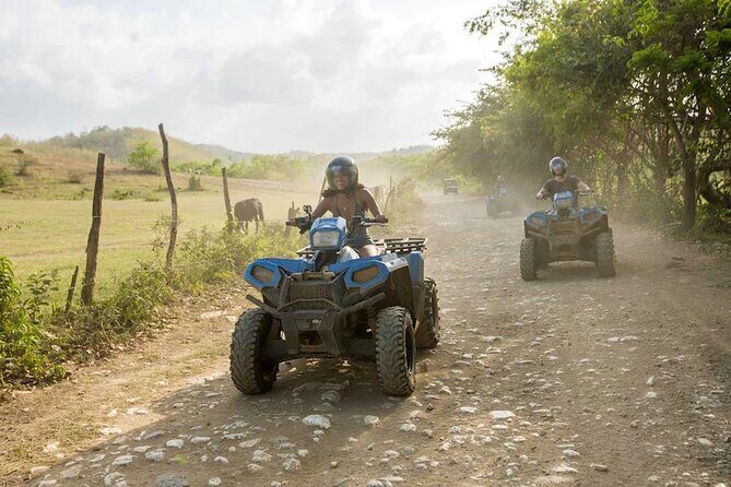 Zip-lining/Horseback Rides/Cat & Atv Inclusive Act with Transpo From Montego Bay - Real Experiences from Travelers