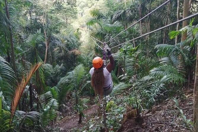 Zipline Adventure In The Rainforest - Inclusions and Logistics
