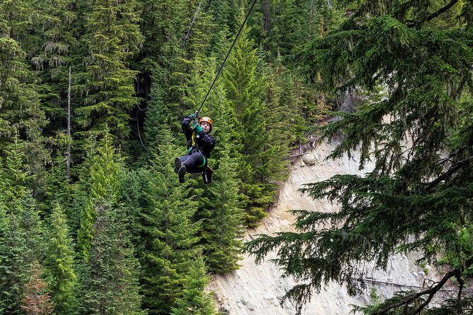 Zipline Adventure in Whistler - Why This Tour Offers Great Value