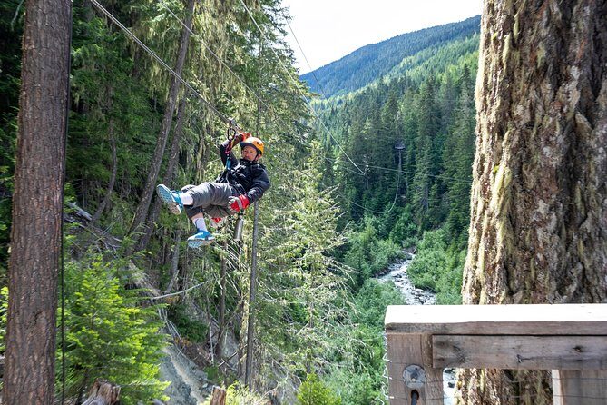 Zipline Adventure in Whistler - The Verdict: Who Should Consider This?