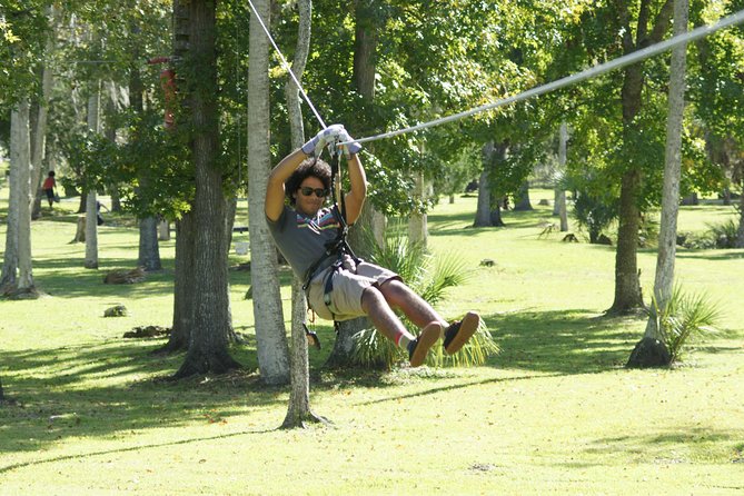 Zipline Adventure Through Tuscawilla Park - Adventure Highlights