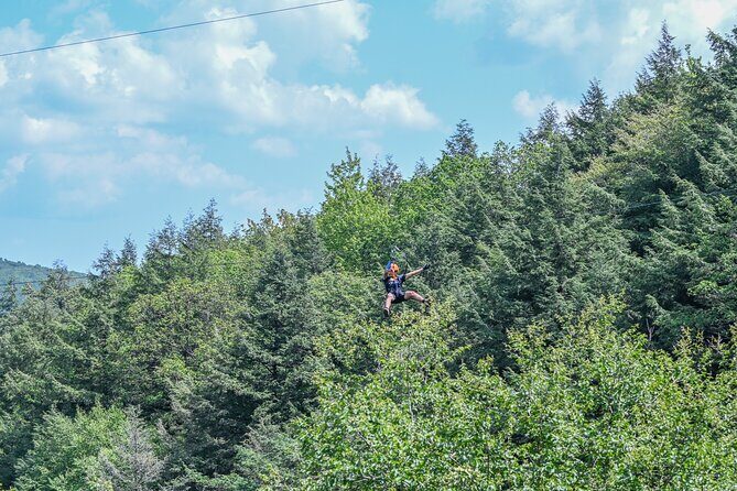 Zipline Canopy Activity Admission at Bristol Mountain - An In-Depth Look at the Bristol Mountain Zipline Experience
