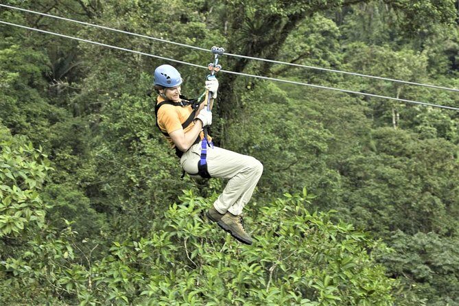 Zipline Canopy & Dunn's River Falls Guided Tour with Admission from Falmouth - A Day of Adventure and Culture in Ocho Rios