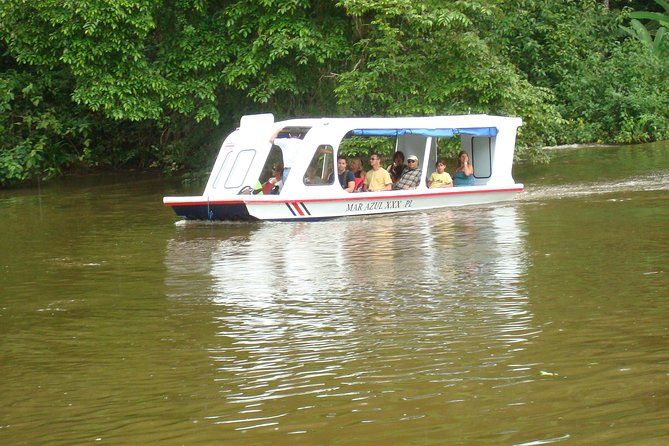 Zipline Canopy Tour & Tortuguero Canal Boat Tour. Shore Excursion From Limon - Tortuguero Canal Cruise