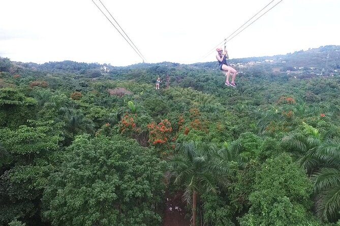 Zipline Canopy Tour with Transport from San Juan - Key Points