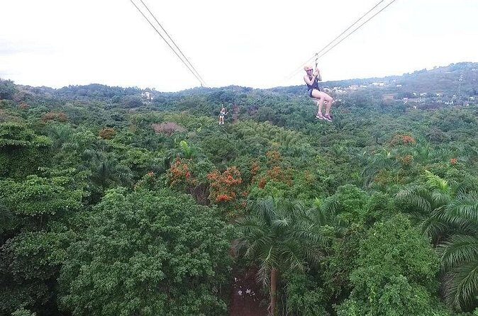 Zipline Canopy Tour with Transport from San Juan - Final Thoughts