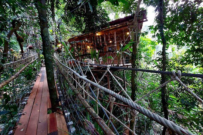Zipline & Coffee with Waterfall Views in Koh Samui - Who Is This Tour Best For?