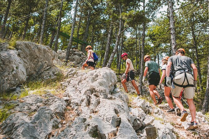 Zipline Experience Krk - Pricing and Booking