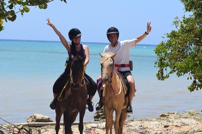 Zipline + Horseback Riding Adventure Tour from Negril - What to Expect on the Itinerary