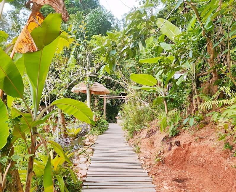 Zipline in Koh Samui Adventure activity tour - The Sum Up