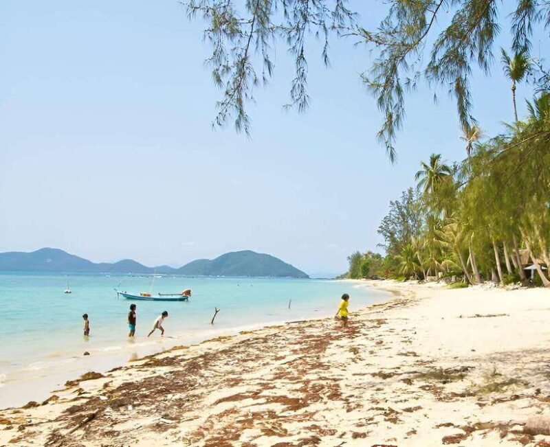 Zipline in Koh Samui Adventure activity tour - Key Points