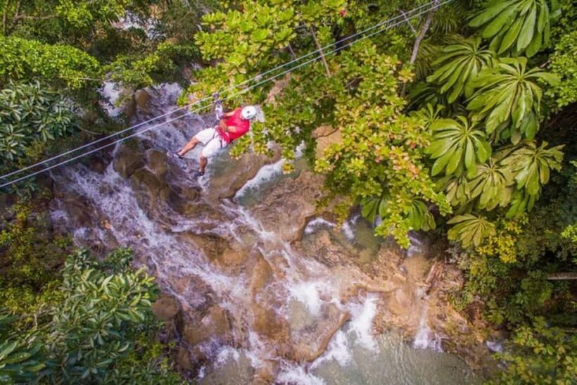 Zipline Over The dunns River Falls - What Travelers Say: Authentic Insights