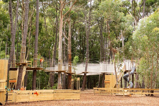 Zipline over the Heysen Trail & Through the Pines of Kuitpo - Who Should Consider This Tour?