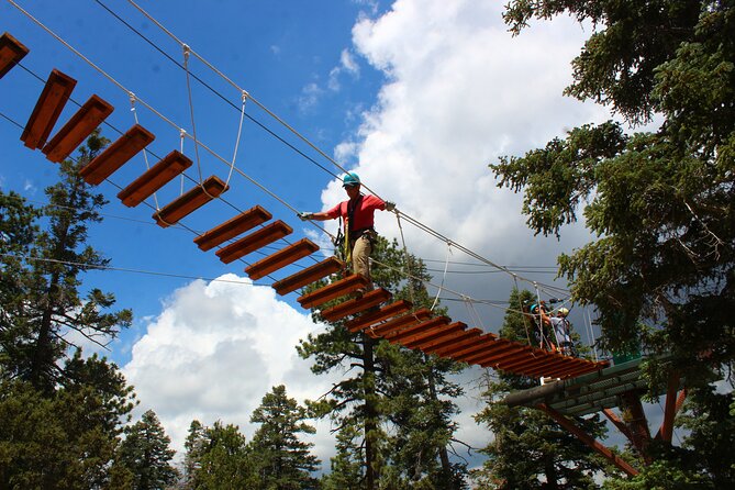 Zipline Tour - 9 High-Speed Ziplines & Fun Suspension Bridge - Customer Feedback and Testimonials