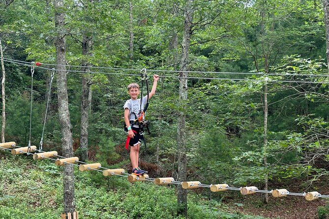 Ziplining and Climbing at The Adventure Park on Cape Cod - Key Points
