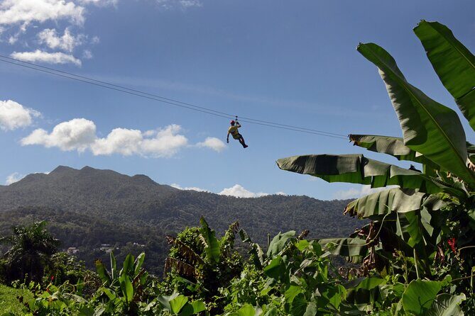 Ziplining at the Rainforest in Puerto Rico - What’s Included and What’s Not