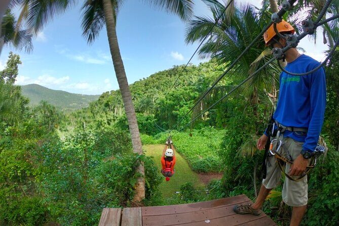 Ziplining at the Rainforest in Puerto Rico - Why Travelers Love This Tour