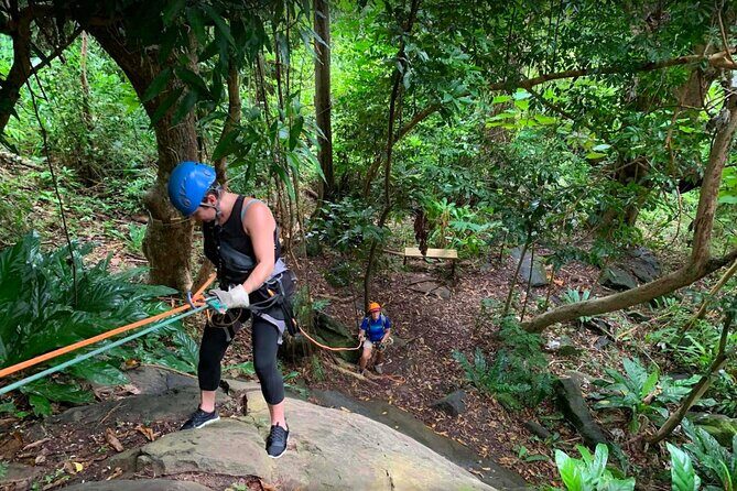 Ziplining at the Rainforest in Puerto Rico - Who Will Enjoy This Tour Most?