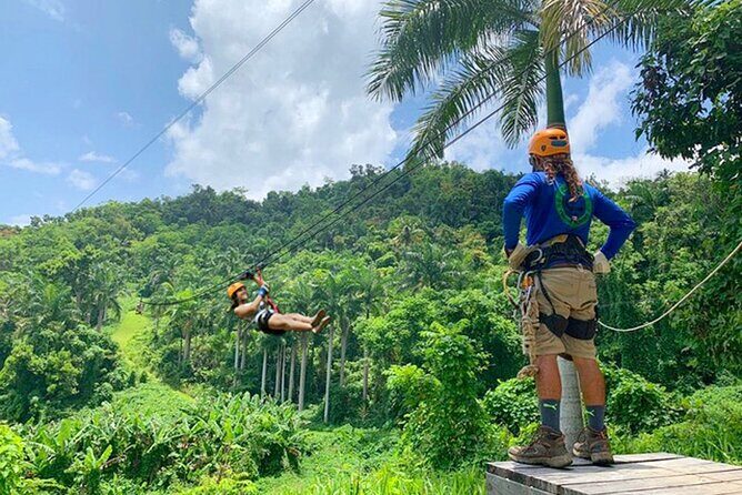 Ziplining at the Rainforest in Puerto Rico - The Sum Up