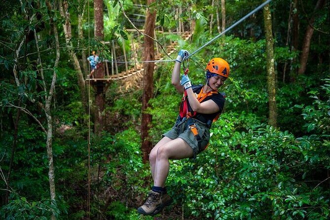 Ziplining Cape Tribulation with Treetops Adventures - Key Points