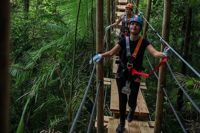 Ziplining Cape Tribulation with Treetops Adventures - Analyzing the Price and Overall Value