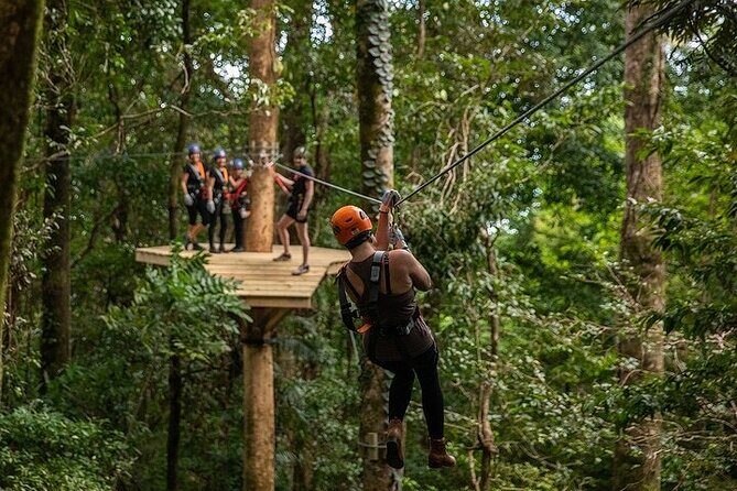 Ziplining Cape Tribulation with Treetops Adventures - Practical Tips for Your Ziplining Adventure