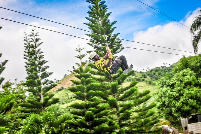 Ziplining in YS Falls and Black River Safari Private Tour - Introduction