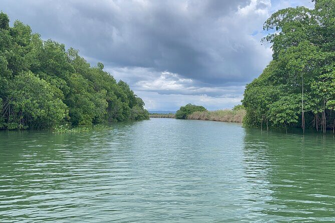 Ziplining in YS Falls and Black River Safari Private Tour - Pricing and Value