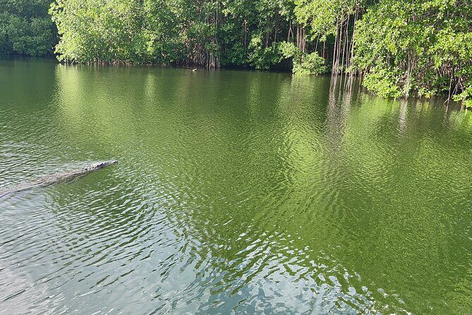 Ziplining in YS Falls and Black River Safari Private Tour - The Sum Up