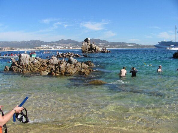 Zodiac Whale Watching Adventure - Incl FREE photos - Key Points