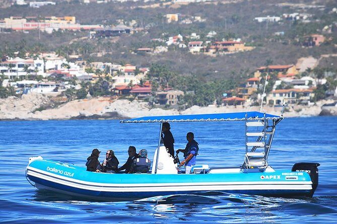 Zodiac Whale Watching Adventure - Incl FREE photos - An In-Depth Look at the Zodiac Whale Watching Tour