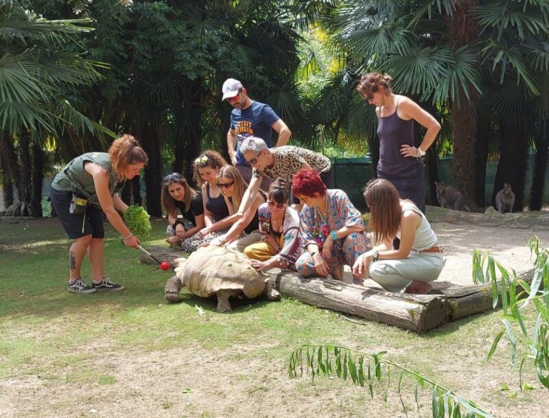 Zoo Al Maglio: 1-Day Ticket for the Jungle of Ticino - Affordable Ticket Options and Flexible Scheduling