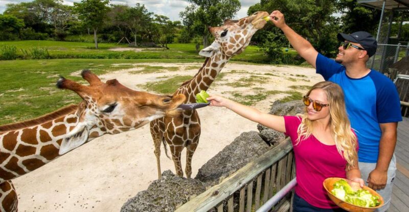 Zoo Miami: General Admission Ticket - An Overview of What Makes Zoo Miami Special