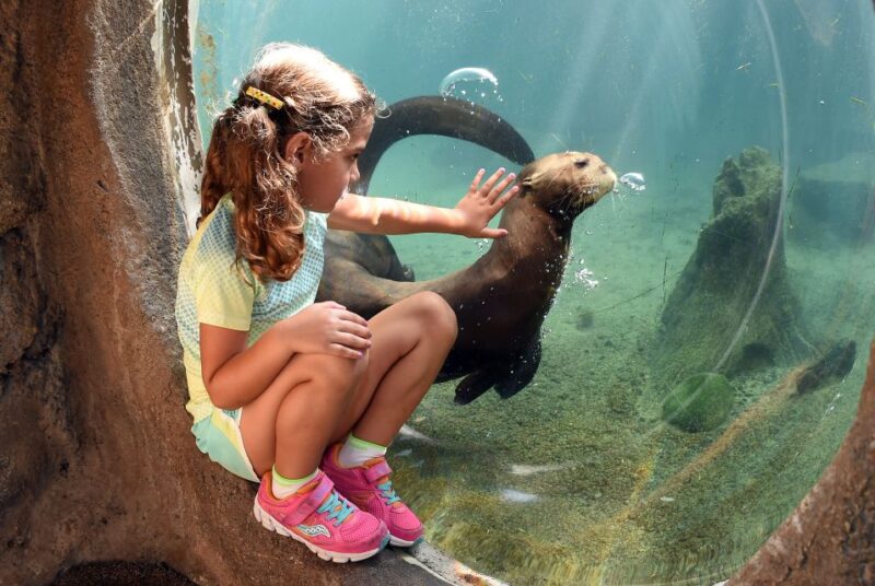 Zoo Miami: General Admission Ticket - Practical Tips for Visiting