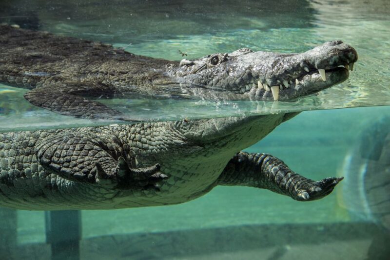 Zoo Miami: General Admission Ticket - What Reviewers Love, and What Could Be Better