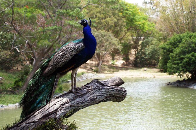 Zoological and Forestry Park Admission Ticket - The Sum Up: Who Is This Tour Best For?