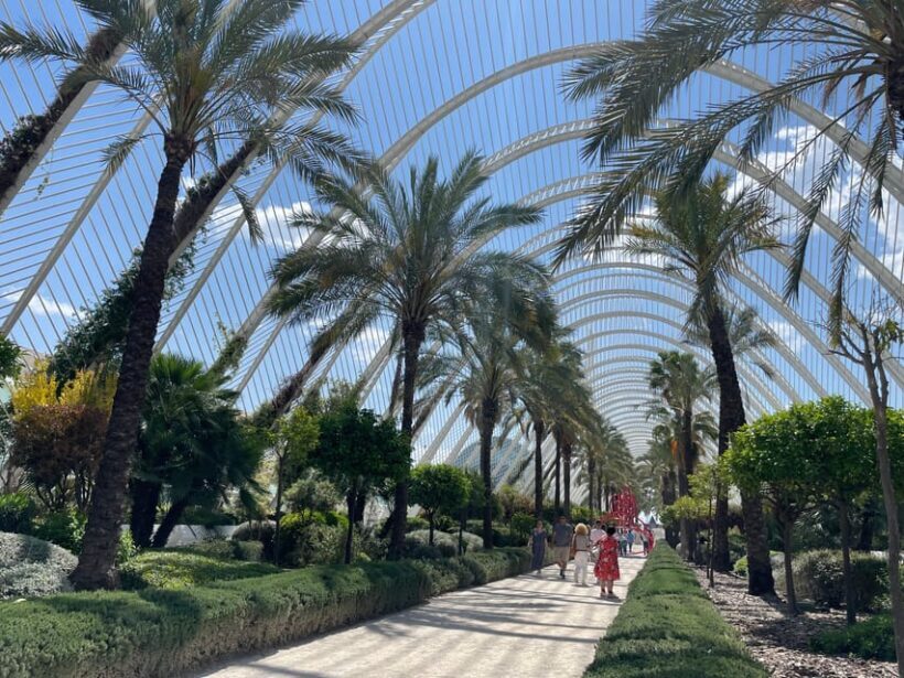 Zoom Through Valencia: Top 25 Hotspots on E-Scooters - Who Should Consider This Tour?