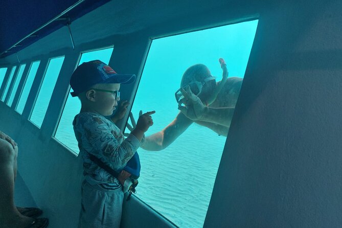 Zorky Yellow Semi Submarine and Zenobia Wreck 2 Hours Shared Tour - Inclusions and Pricing