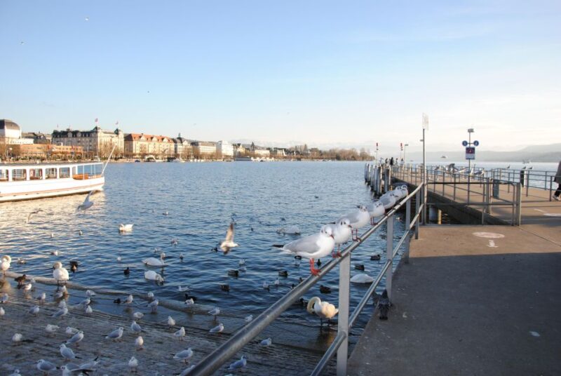 Zurich: 360° City Walk Including Hidden Spots - Engaging Storytelling by the Tour Guide