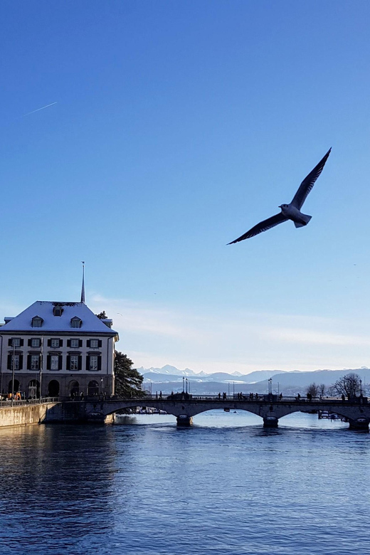 Zurich a Journey Through Time, History and the Reformation - Group Pricing and Booking Details