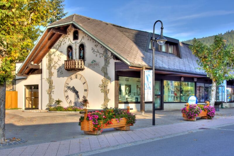 Zurich: Black Forest, Titisee, and Rhine Falls Bus Day Trip - Traveler Feedback