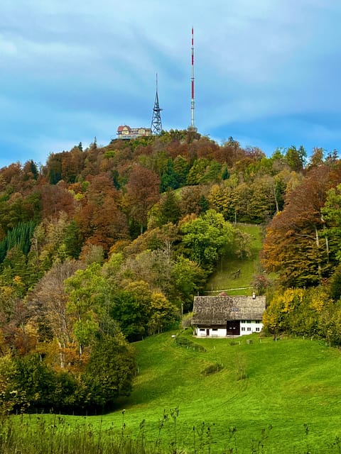 Zurich Cable Car Scenery up Panoramic Lake Zurich Comfort - Suitability and Recommendations