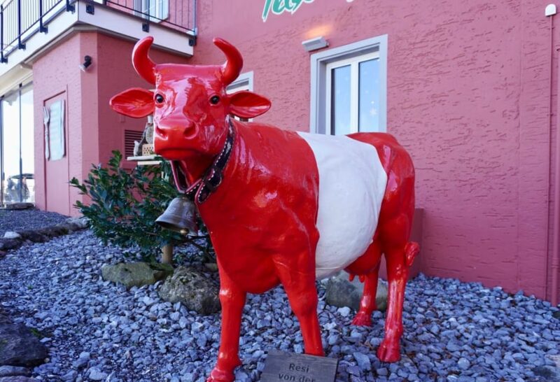 Zurich Cable Car Scenery up Panoramic Lake Zurich Comfort - Meeting Point and Group Information